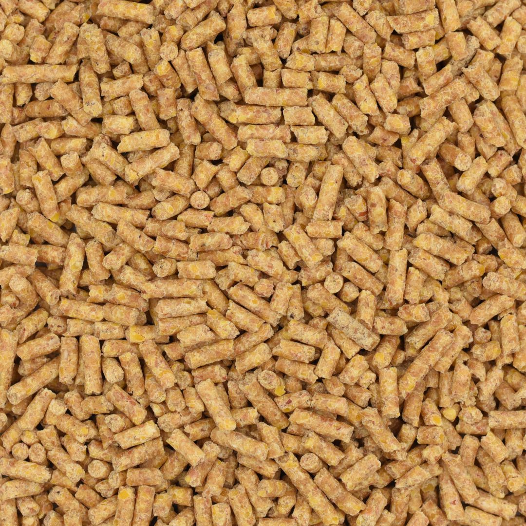 Broiler Finisher 18 Protein National Feed And Flour Broiler Finisher 18 Protein National Feed And Flour